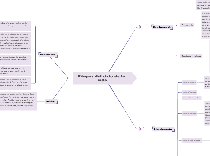 Etapas del ciclo de la vida - Mind Map